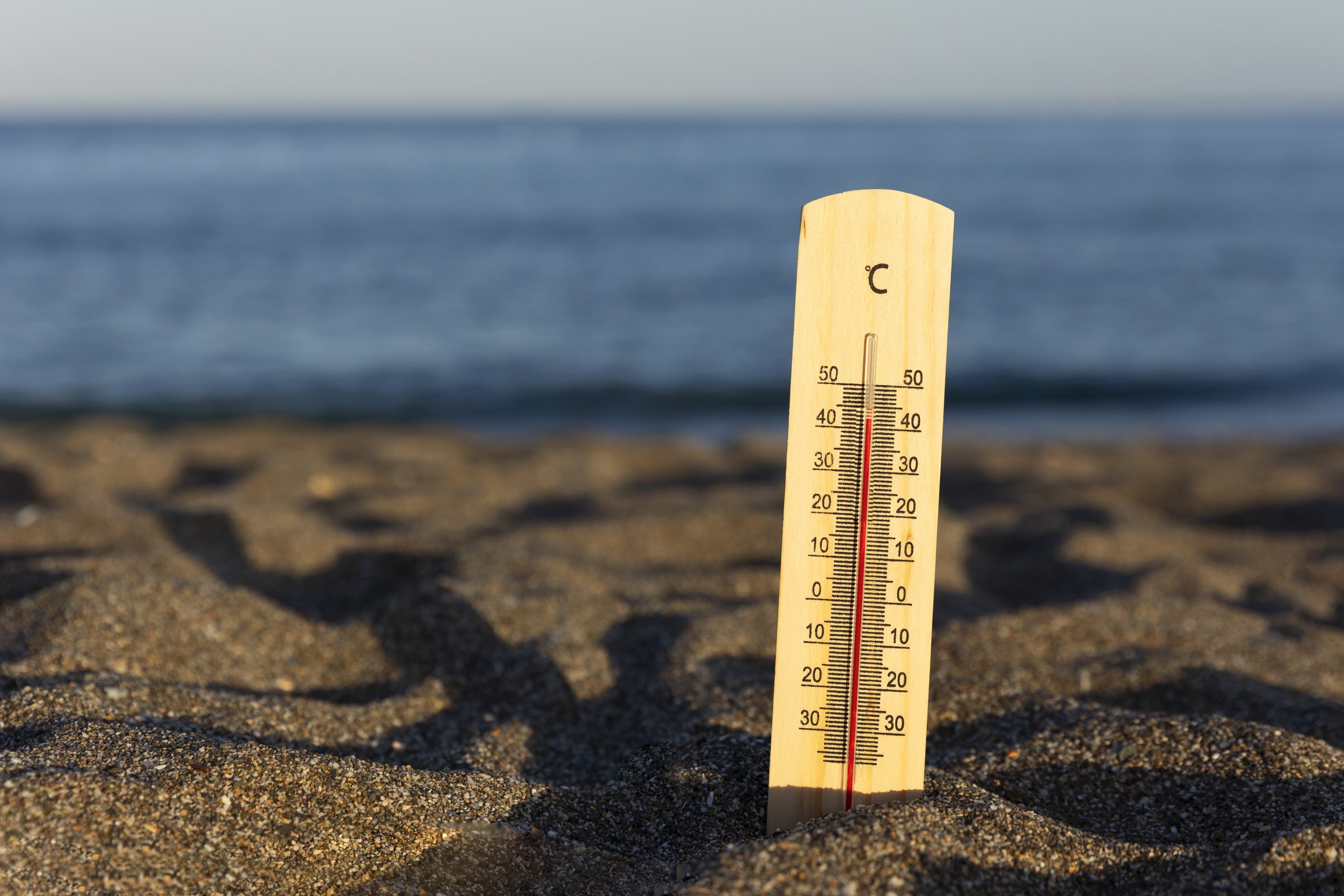 CONSEJOS PARA COMBATIR EL CALOR - Sahilleza | Blog